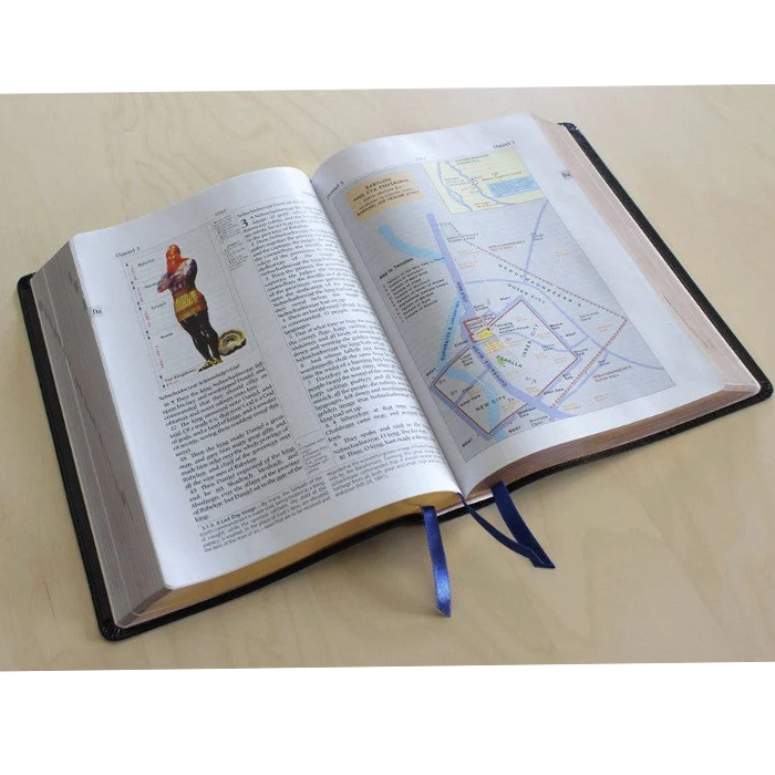 Academy Study Bible (Black Leatherette) EGW Comm with Greek & Hebrew D