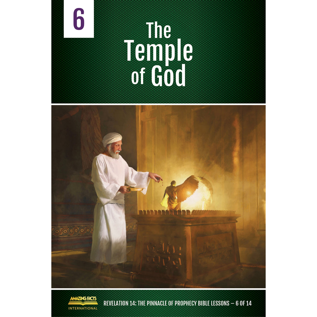 Revelation 14: The Pinnacle of Prophecy Bible Lesson Set (1-14) by Ama